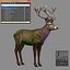 3d red deer stag fur model