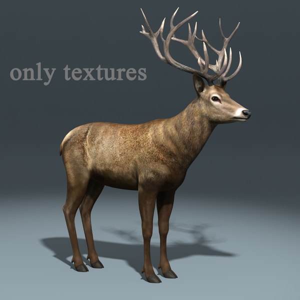 3d red deer stag fur model
