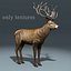 3d red deer stag fur model