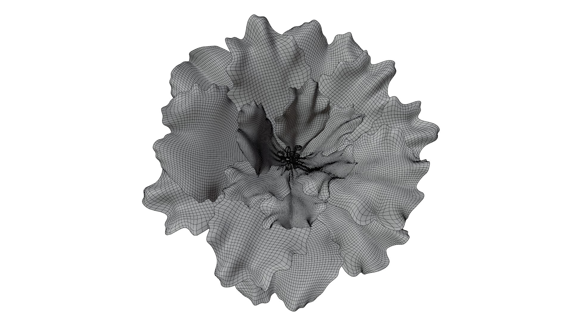 African Violet Music Box Dancer 3D Model - TurboSquid 2028465