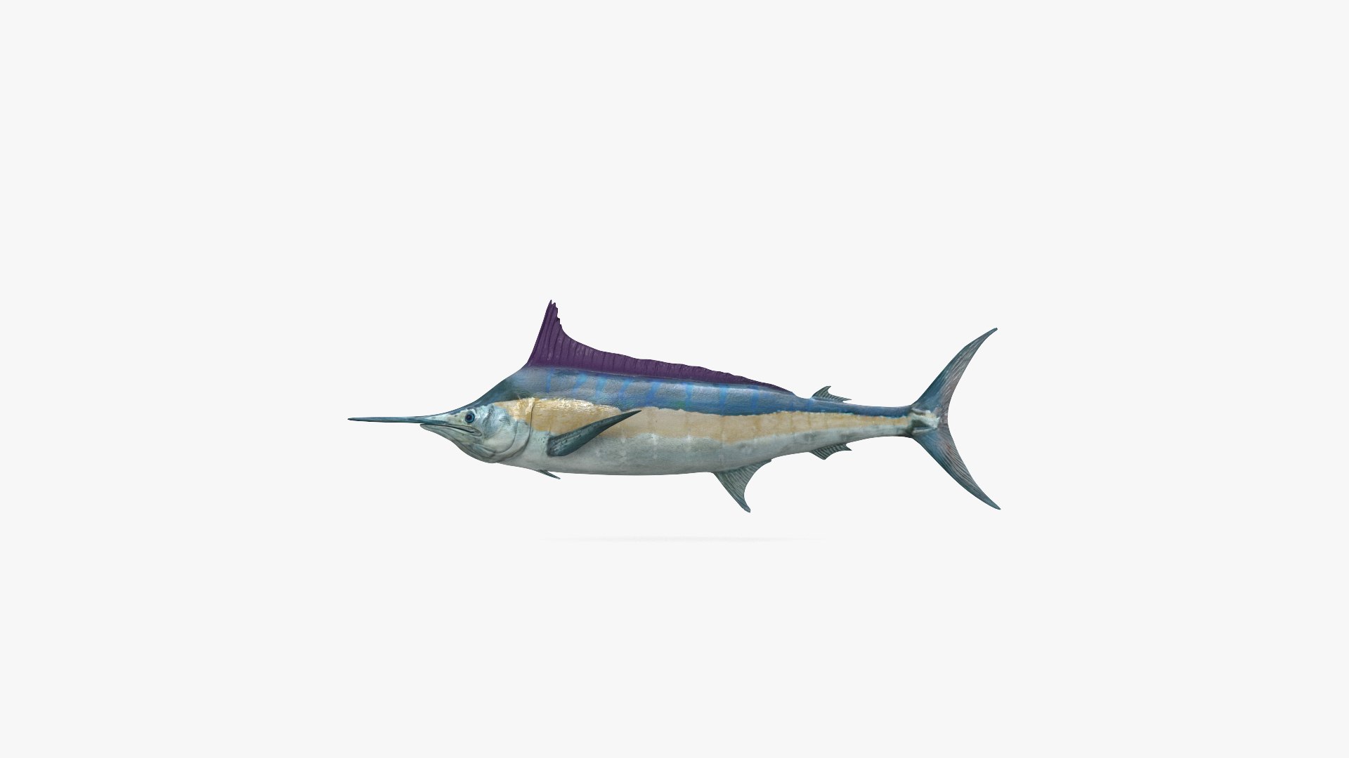 Marlin 3D - TurboSquid 2186958
