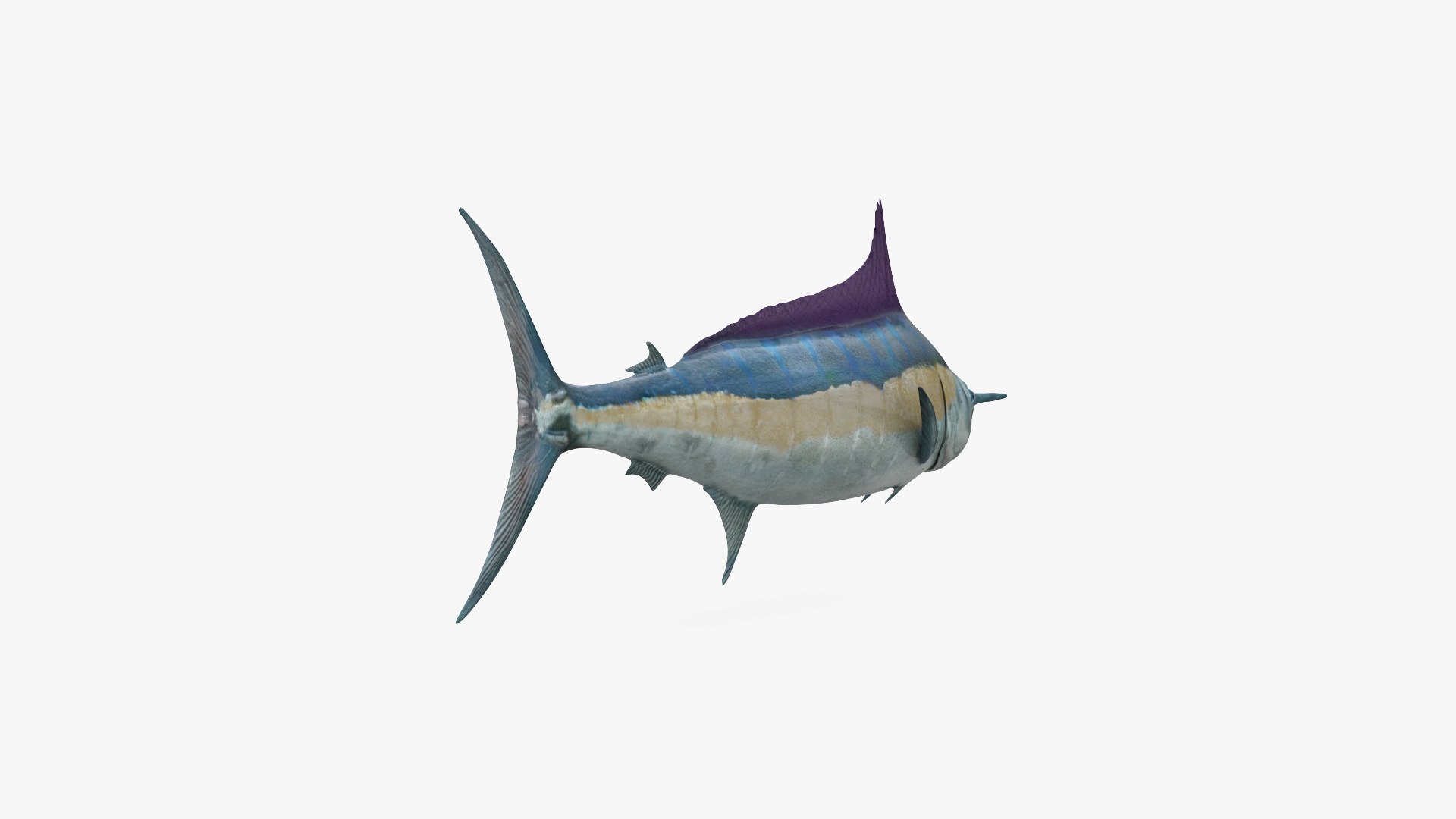 Marlin 3D - TurboSquid 2186958