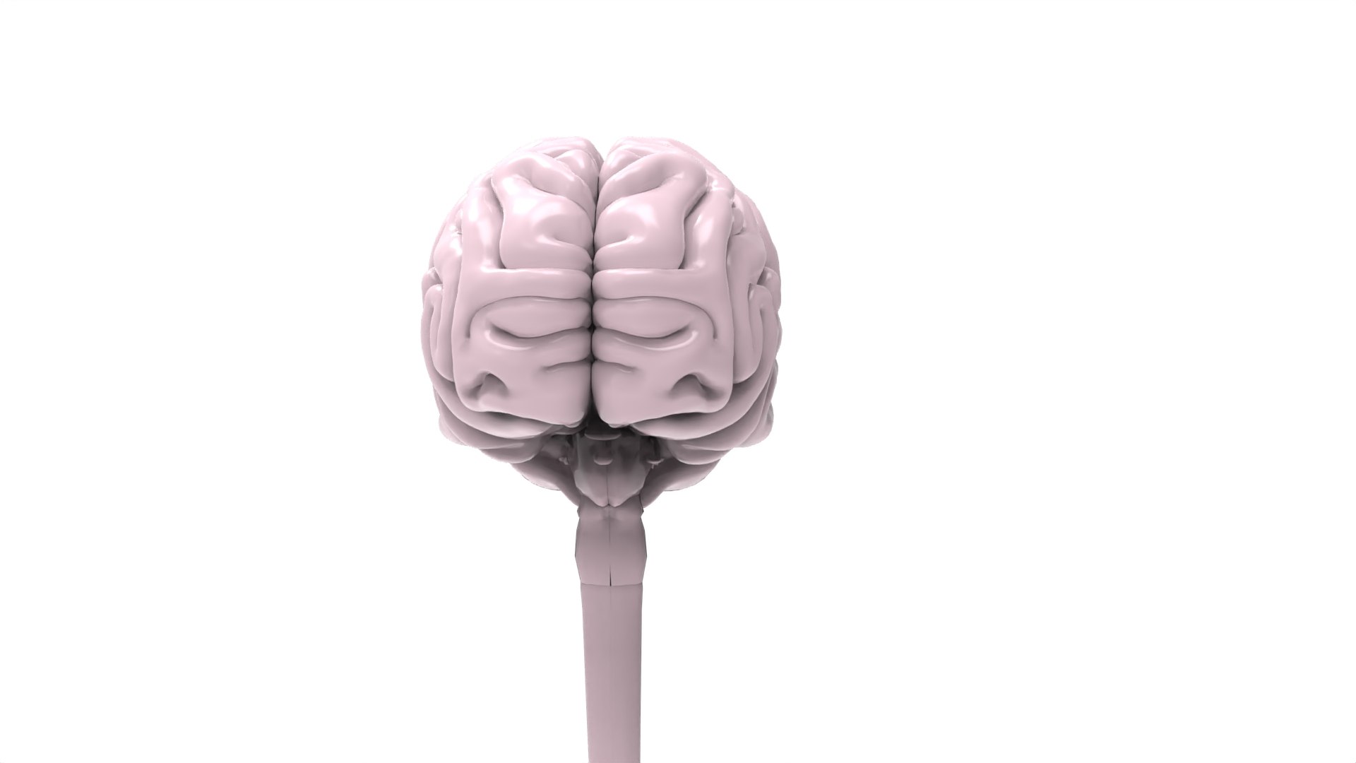 3D Brain And Nerves With Arteries And Veins With Lymph Nodes Model ...