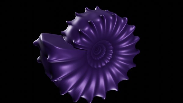 Seashell STL Models for Download | TurboSquid