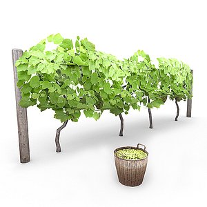 3D Vineyard Models | TurboSquid