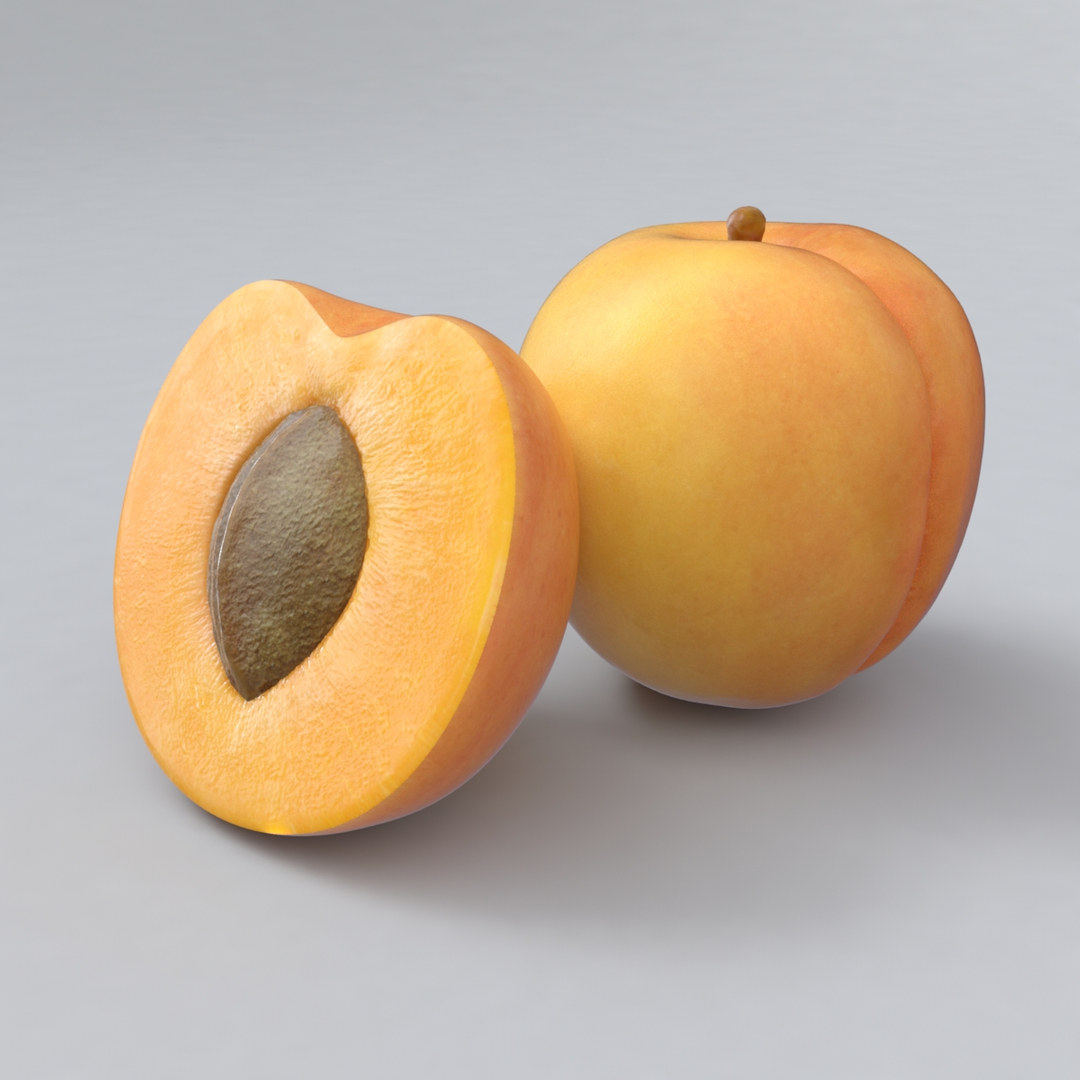 3D Apricot Real Realistic Model - TurboSquid 1256407