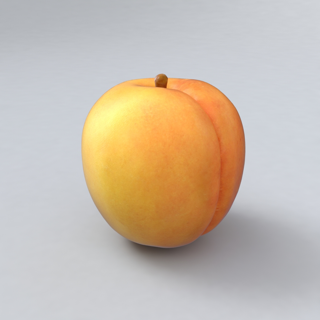 3D Apricot Real Realistic Model - TurboSquid 1256407