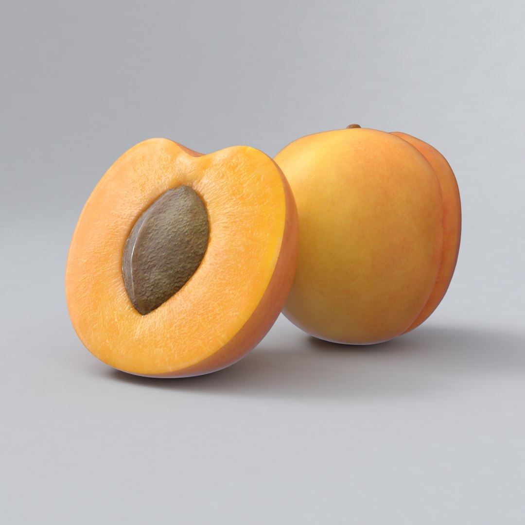 3D Apricot Real Realistic Model - TurboSquid 1256407