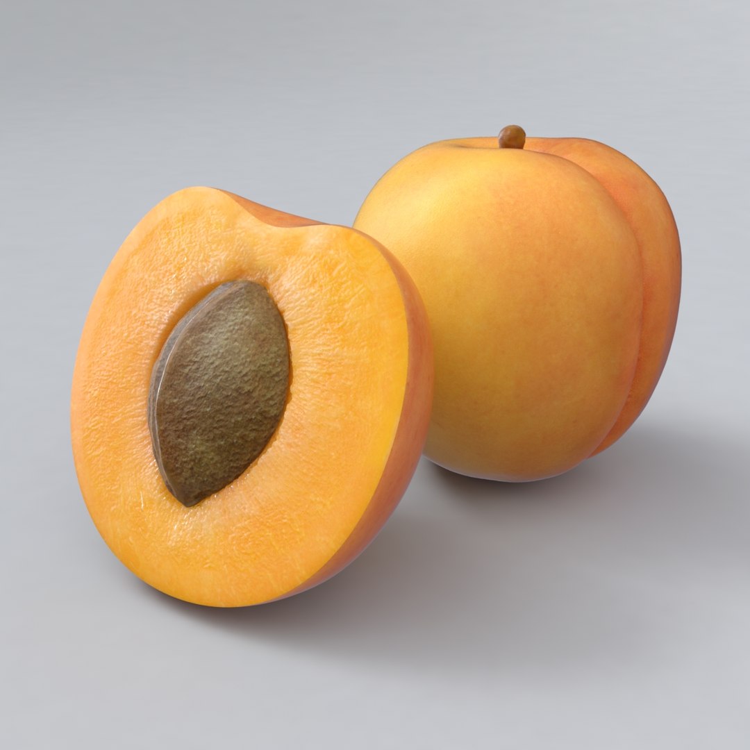 3D Apricot Real Realistic Model - TurboSquid 1256407