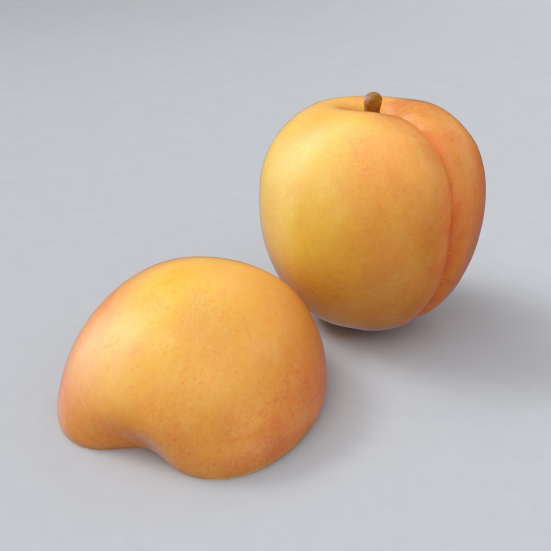 3D Apricot Real Realistic Model - TurboSquid 1256407