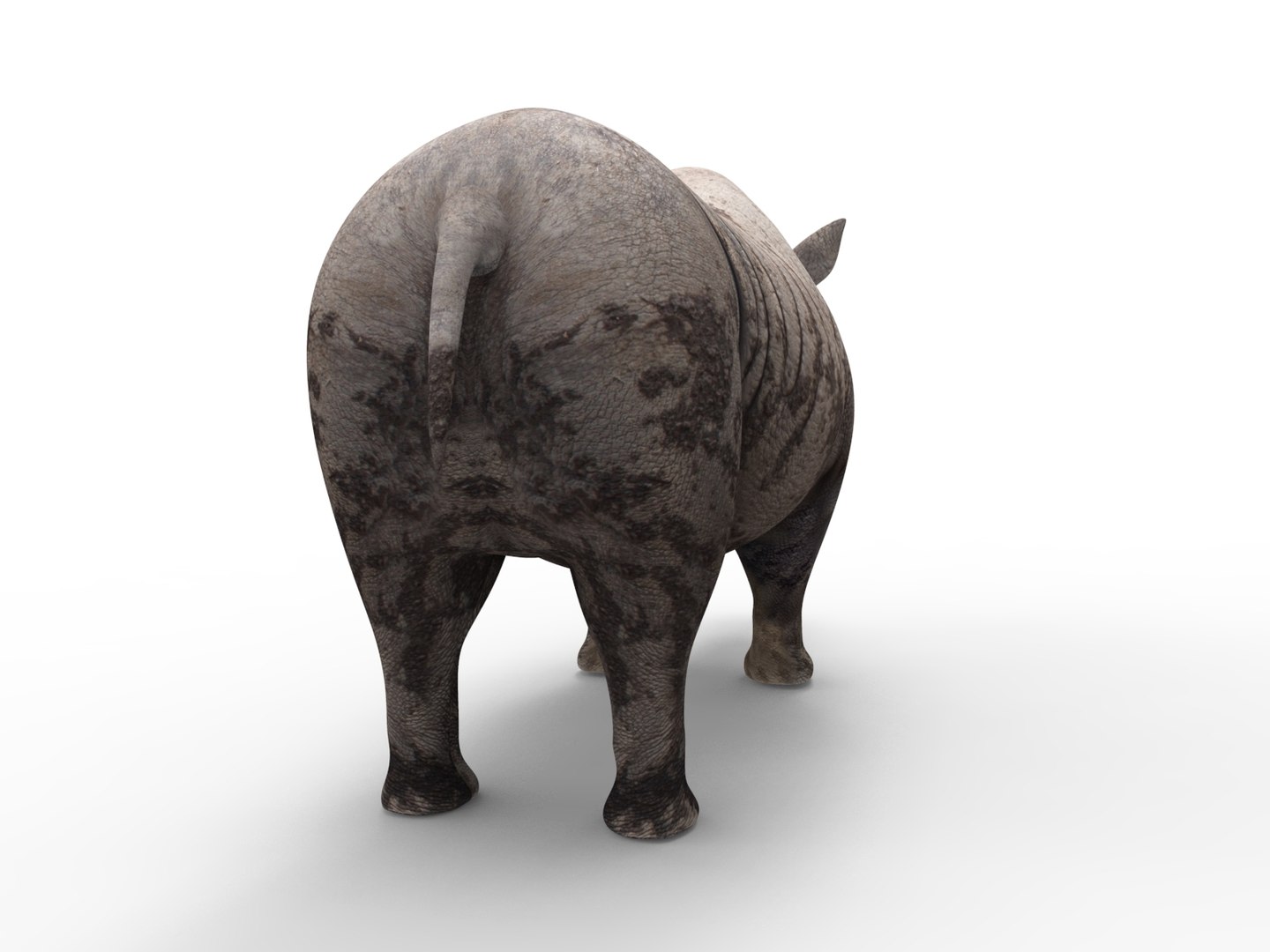 3D Dirty Realistic Rhino - TurboSquid 1257184