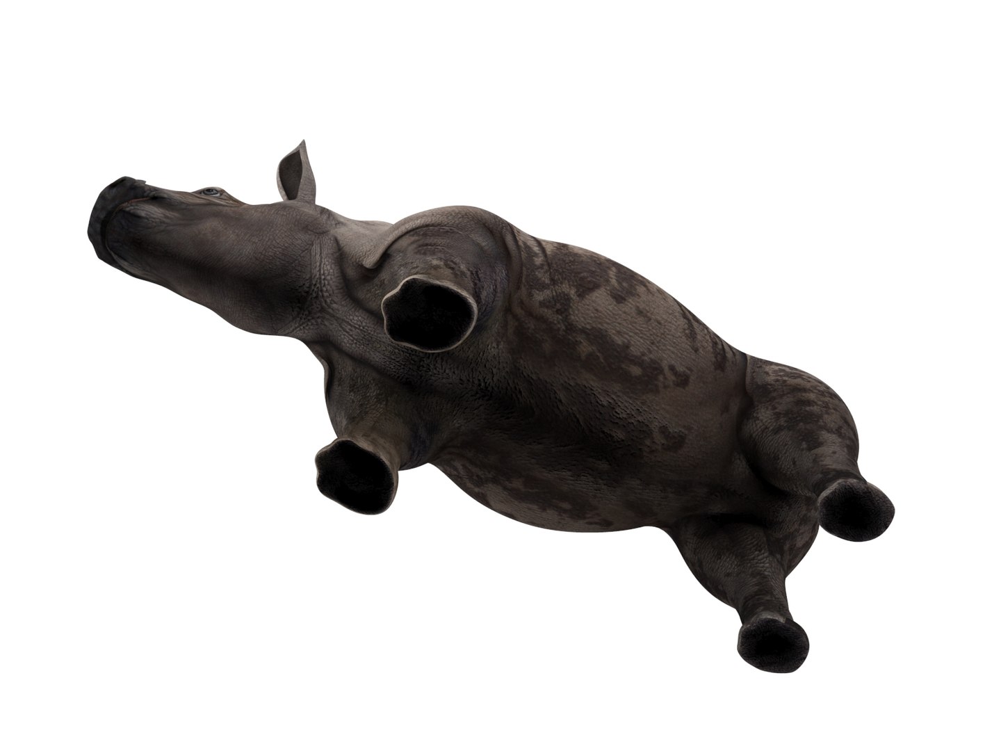3D Dirty Realistic Rhino - TurboSquid 1257184