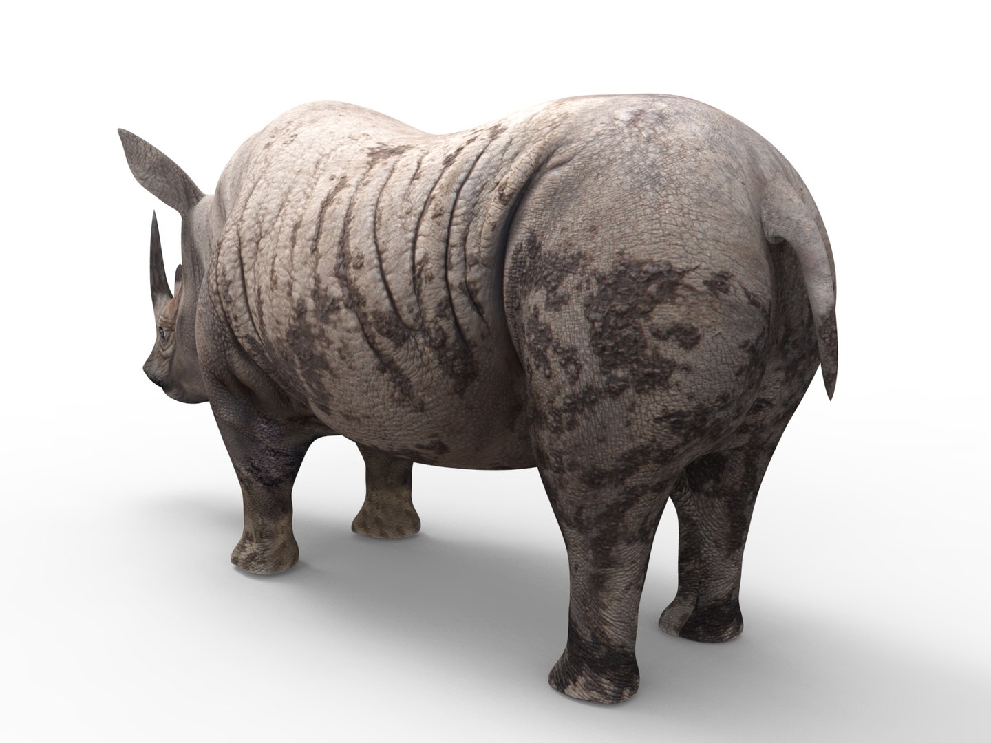 3D Dirty Realistic Rhino - TurboSquid 1257184
