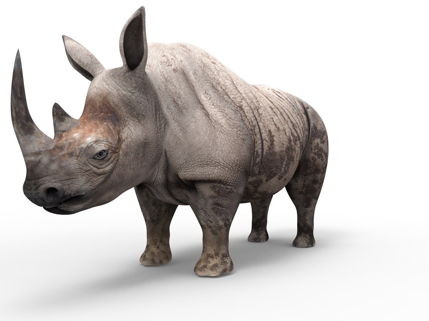 3D Dirty Realistic Rhino - TurboSquid 1257184