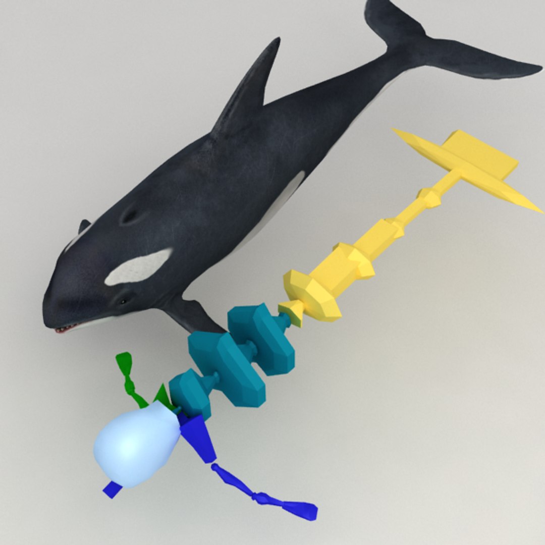 3d Rigged Orca Model