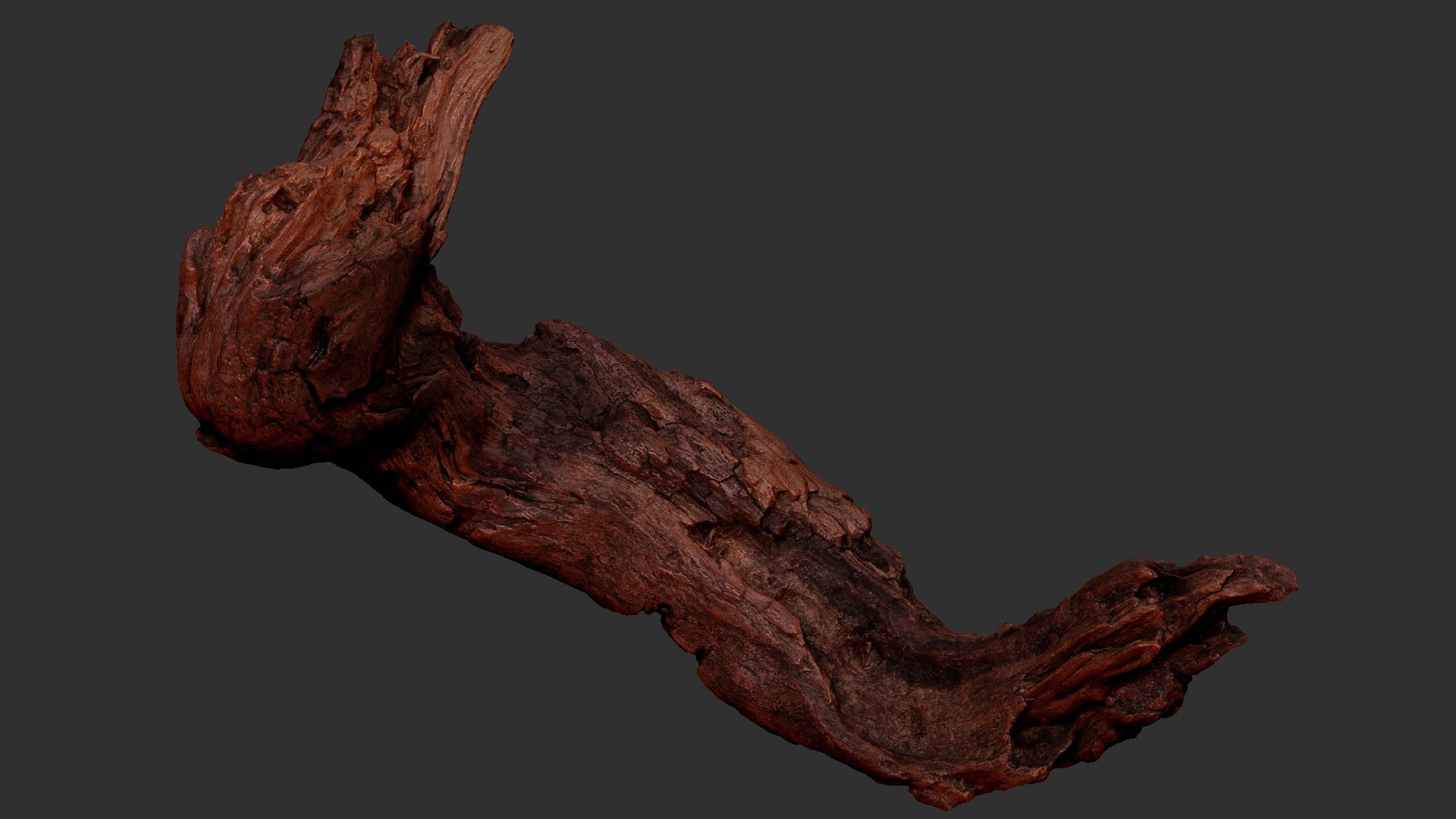 3D 3d scan of Tree trunk - TurboSquid 2151152