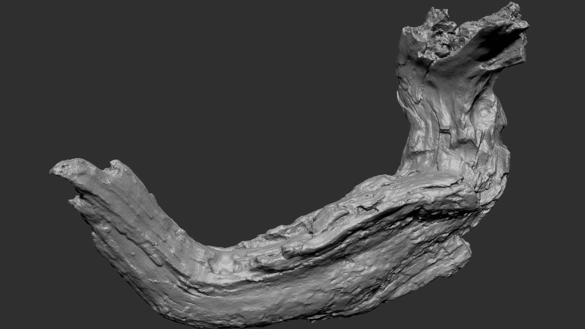 3D 3d scan of Tree trunk - TurboSquid 2151152