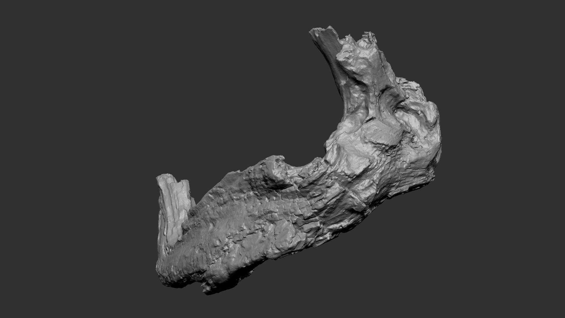 3D 3d scan of Tree trunk - TurboSquid 2151152