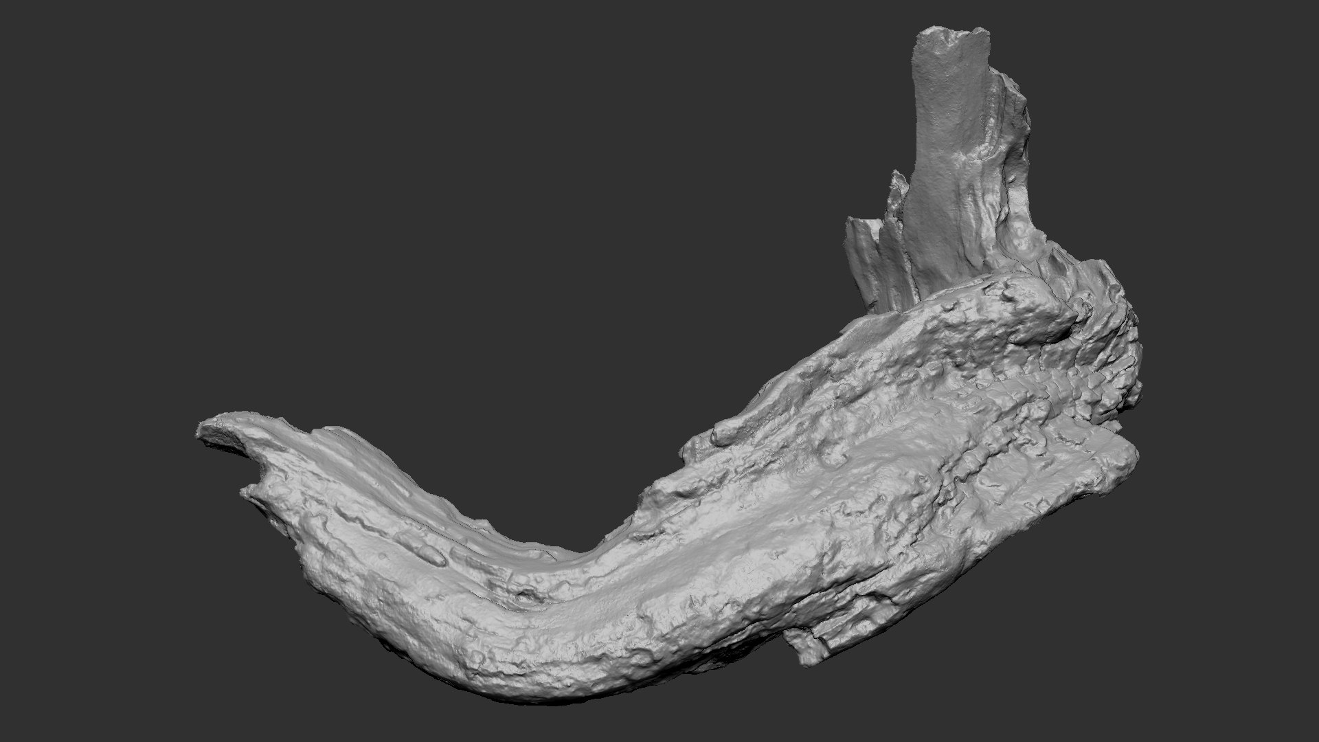 3D 3d scan of Tree trunk - TurboSquid 2151152