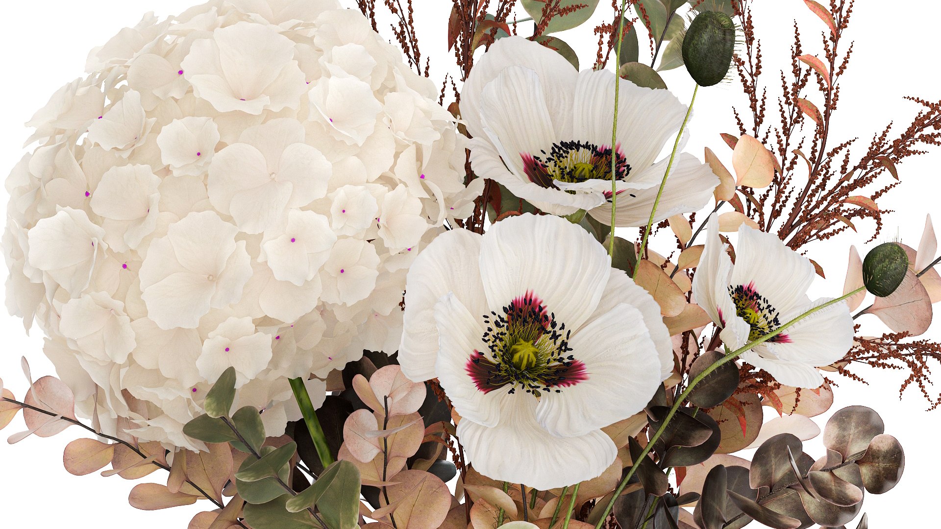 Bouquet Of Dried Flowers Poppy Hydrangea Barberry 460 3D Model ...