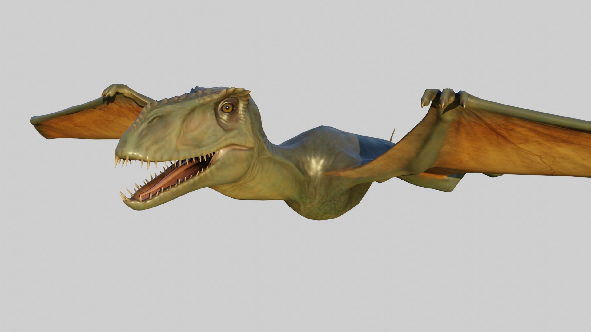 Dimorphodon 3d model Dinosaur3D模型 - TurboSquid 2077295