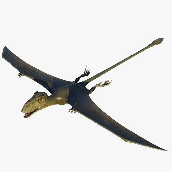 Dimorphodon 3d model Dinosaur3D模型 - TurboSquid 2077295