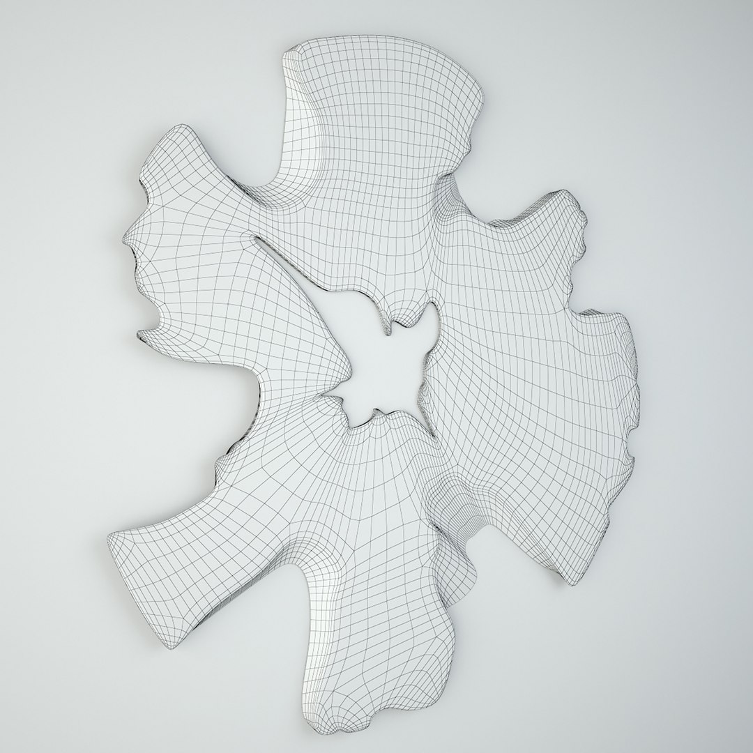Organic Root Slice Mirror 3D Model - TurboSquid 2121111