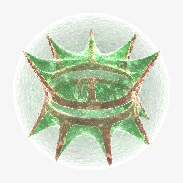 3D Algae Volvox - TurboSquid 1792218
