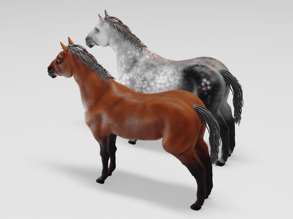 Stallion horses 3D model - TurboSquid 1611652
