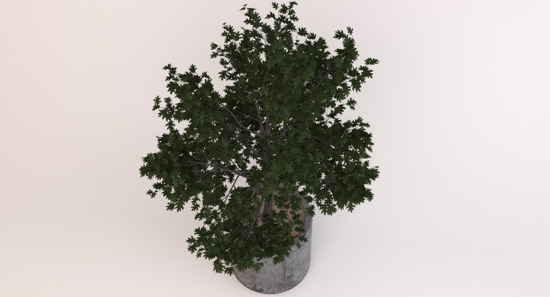 3D Decorative Pot Plant - TurboSquid 1410898
