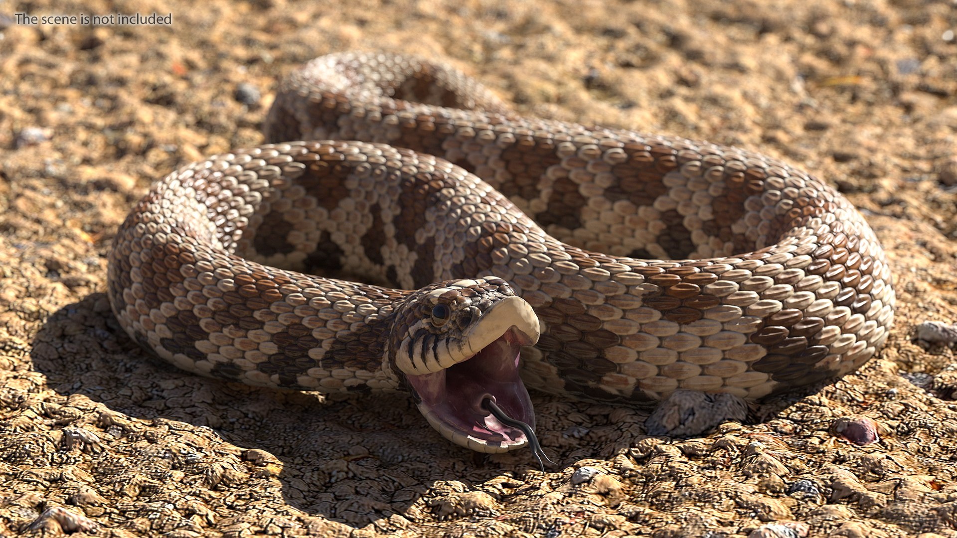 Brown Hognose Snake Rigged Model - TurboSquid 1501047
