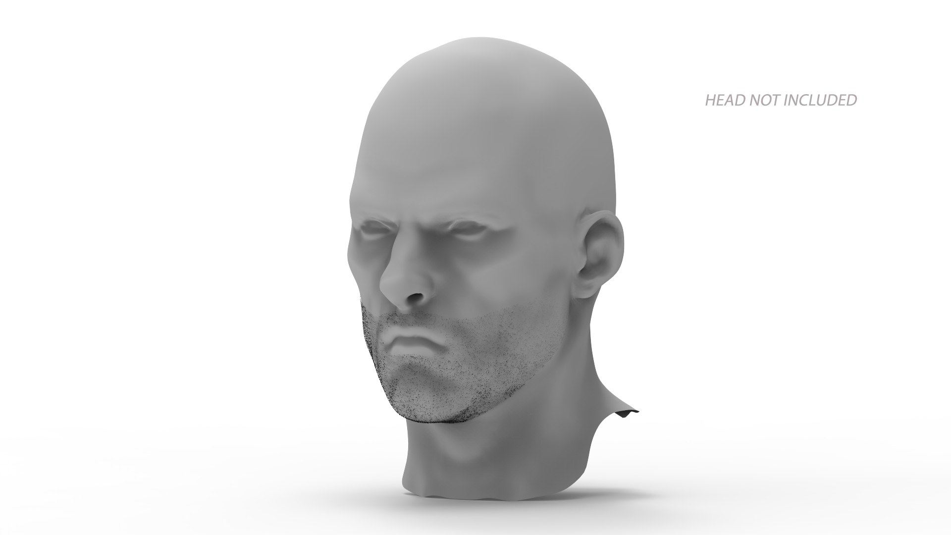 Beard Styles 3D Model - TurboSquid 2268460