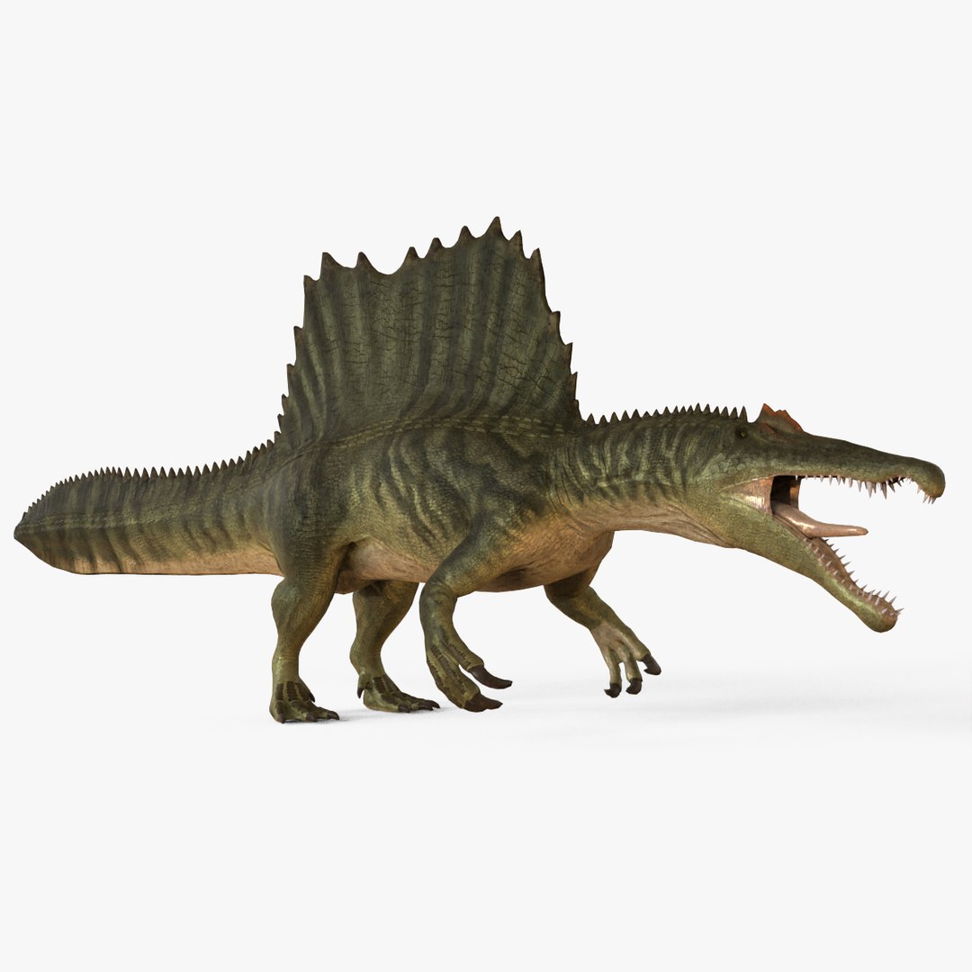 Spinosaurus 3D Model - TurboSquid 2074484