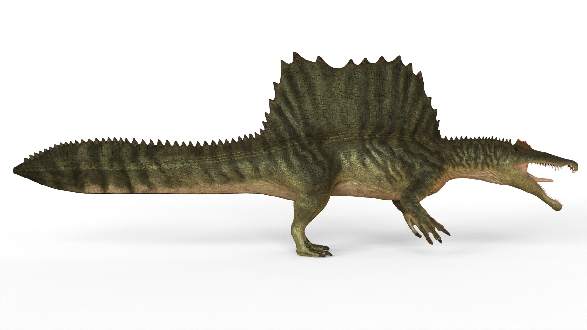 Spinosaurus 3D Model - TurboSquid 2074484
