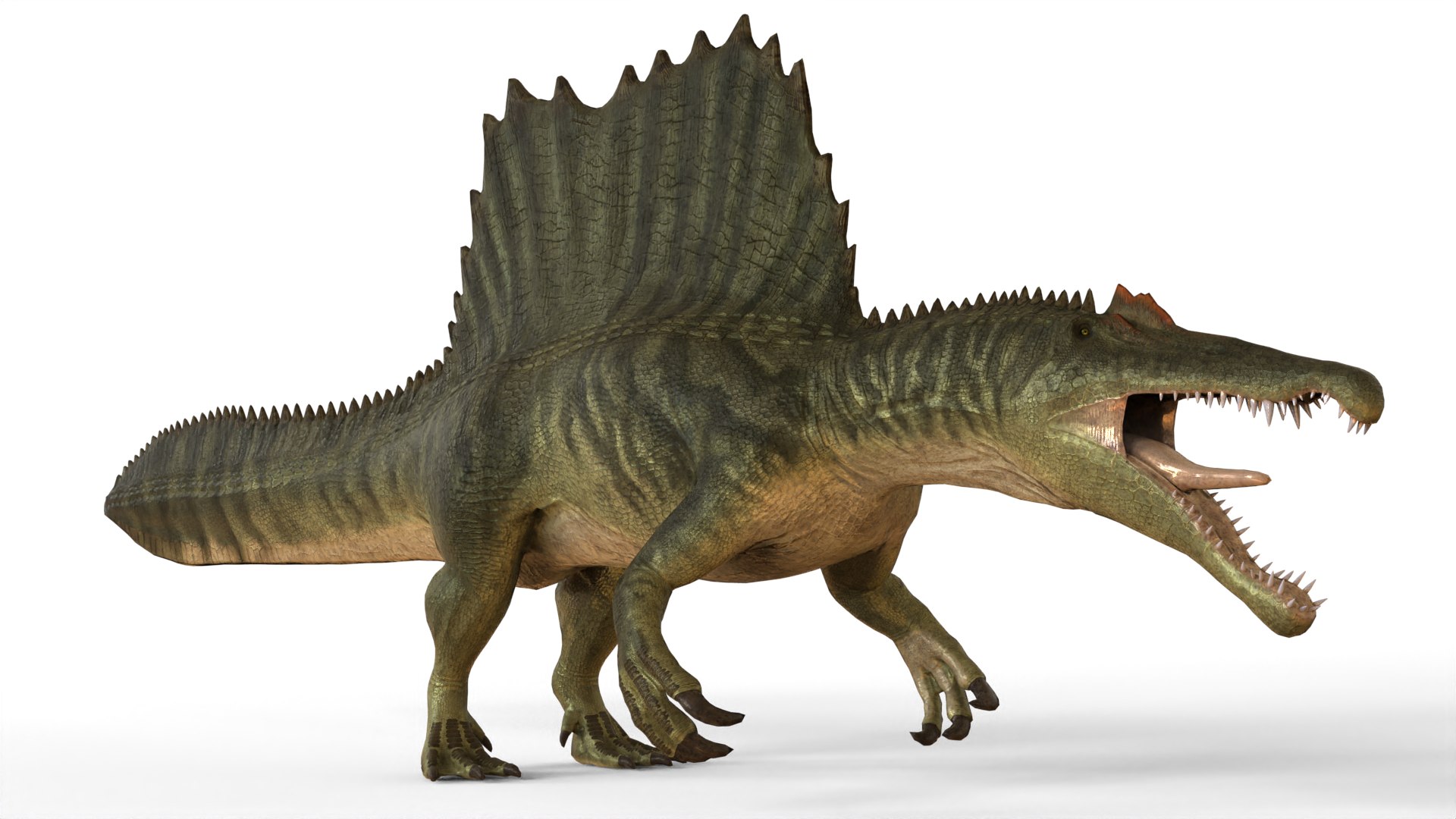 Spinosaurus 3D Model - TurboSquid 2074484