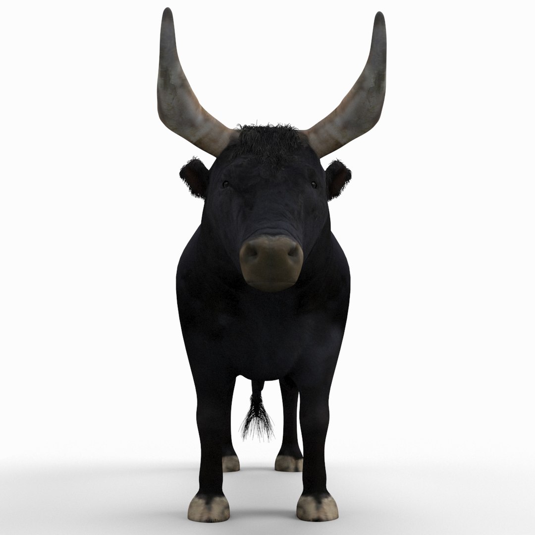 Aurochs Bull Obj