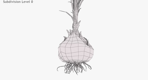3D plant parts crocus saffron model - TurboSquid 1412211