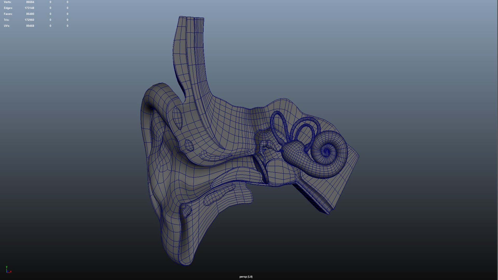 Human Ear 3D Model - TurboSquid 2186396