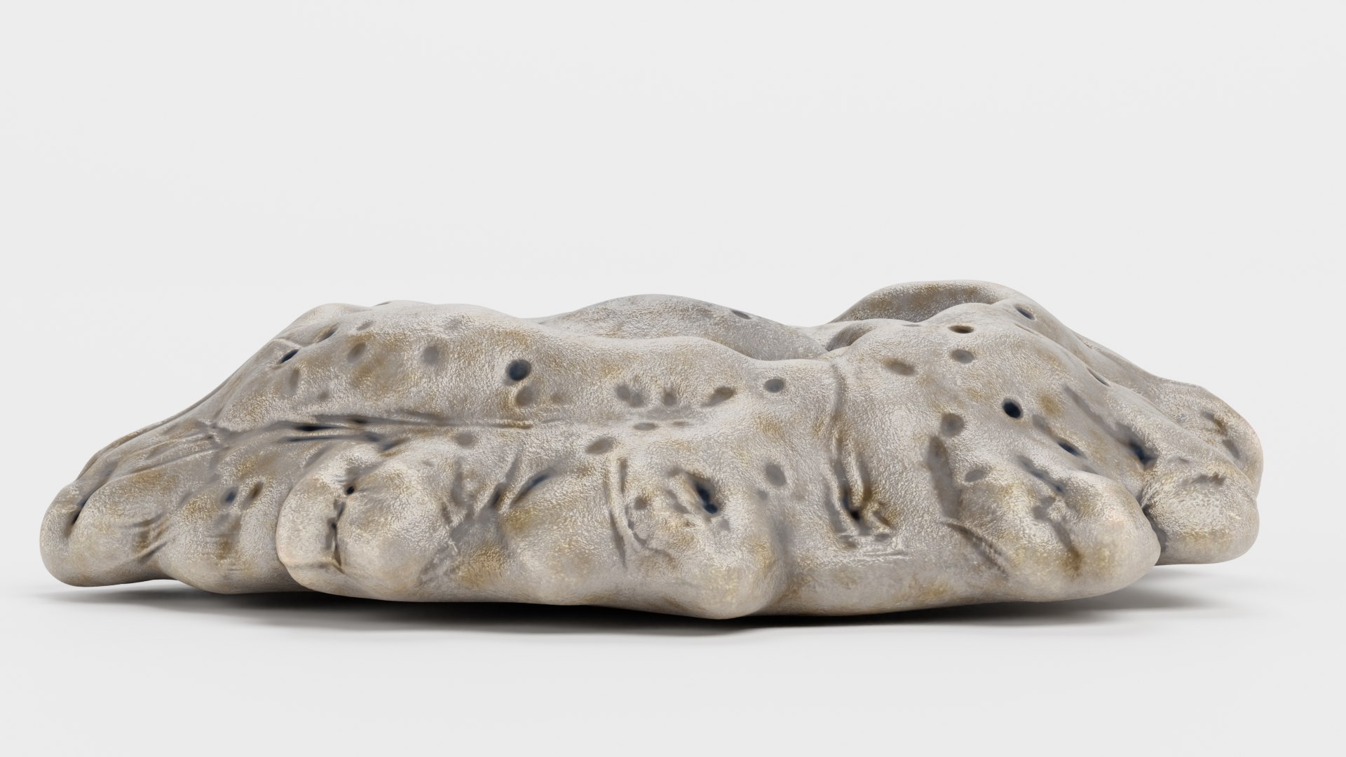 Barnacles 3D Model - TurboSquid 2360344