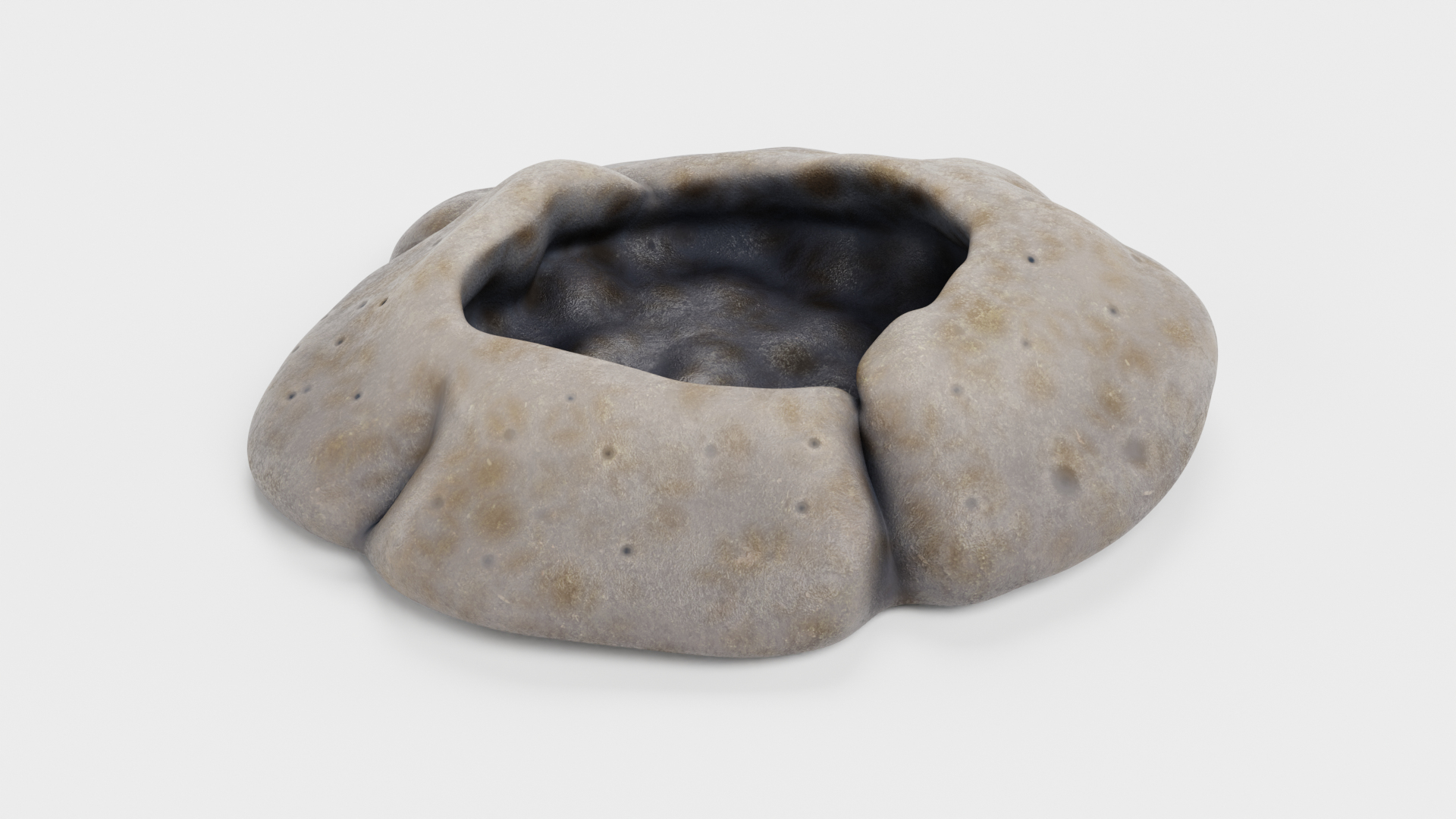 Barnacles 3D Model - TurboSquid 2360344