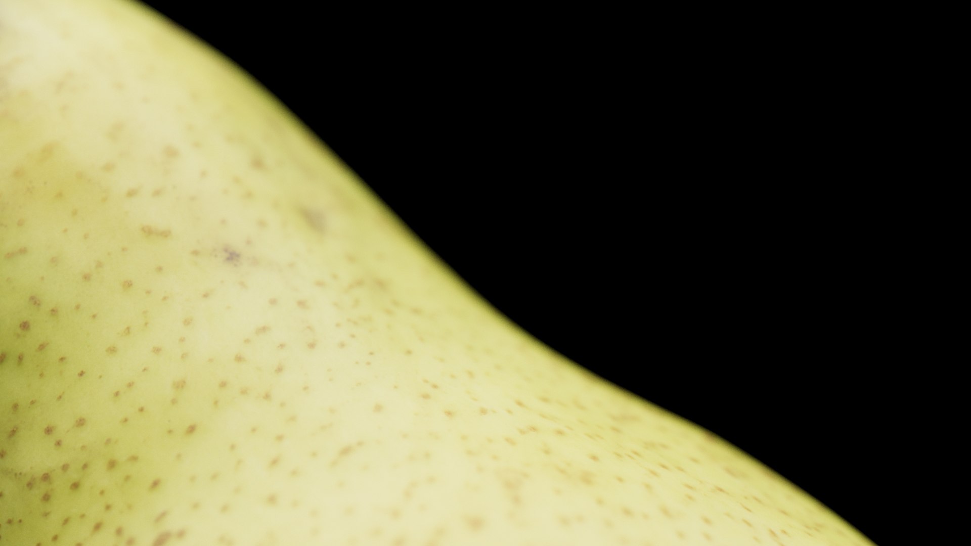 Pear Model - TurboSquid 1873559