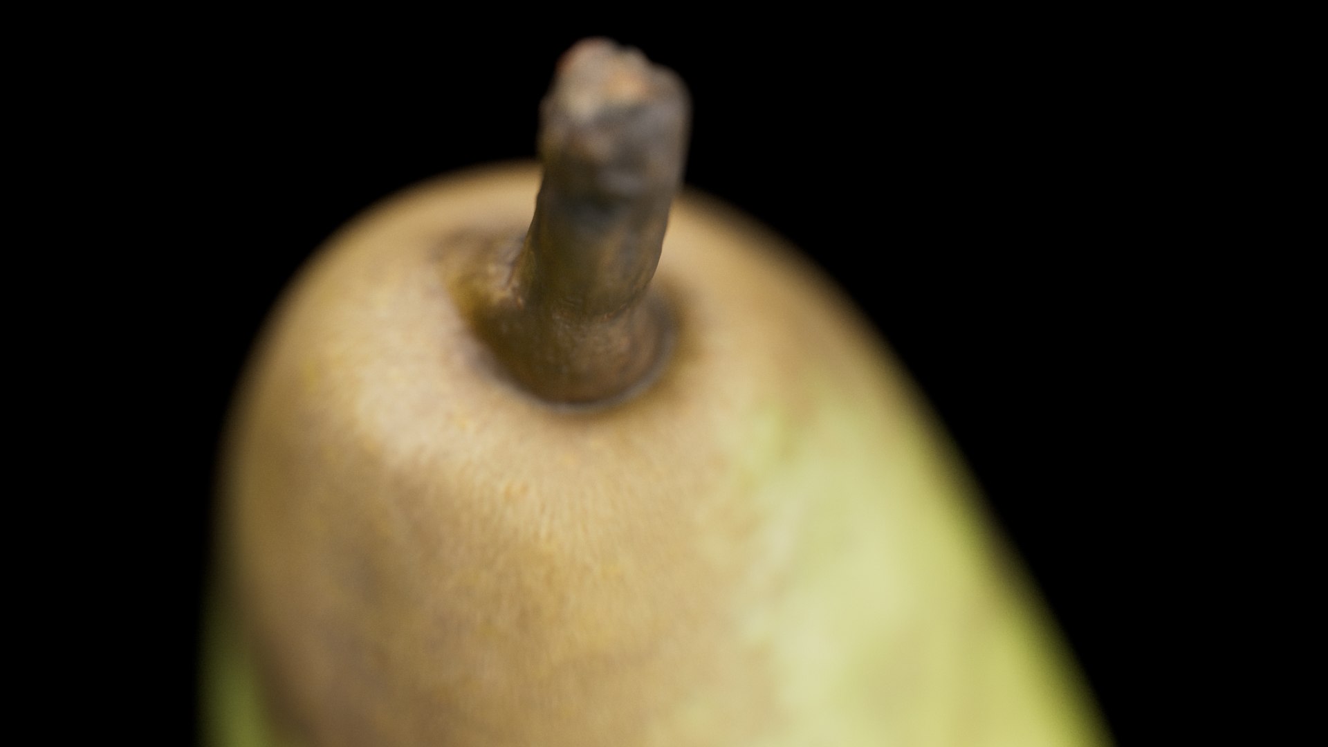 Pear Model - TurboSquid 1873559