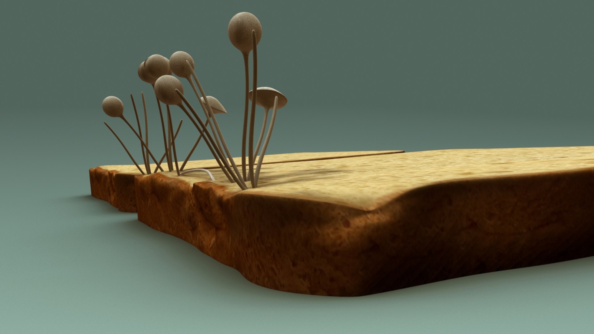 3d Obj Fungi
