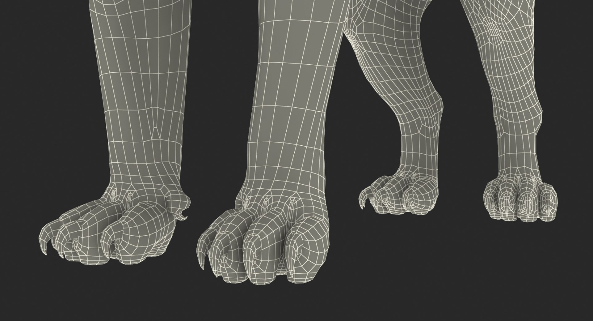 Saber Tooth Tiger 3D Model - TurboSquid 1329664