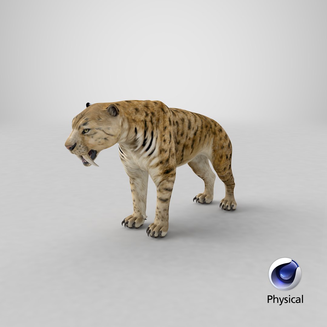 Saber Tooth Tiger 3D Model - TurboSquid 1329664