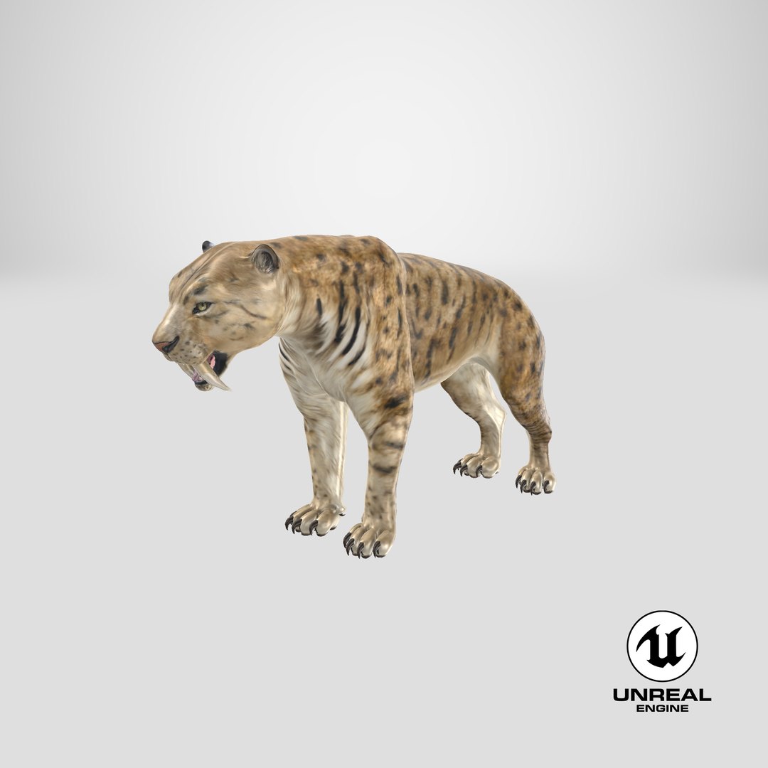 Saber Tooth Tiger 3D Model - TurboSquid 1329664