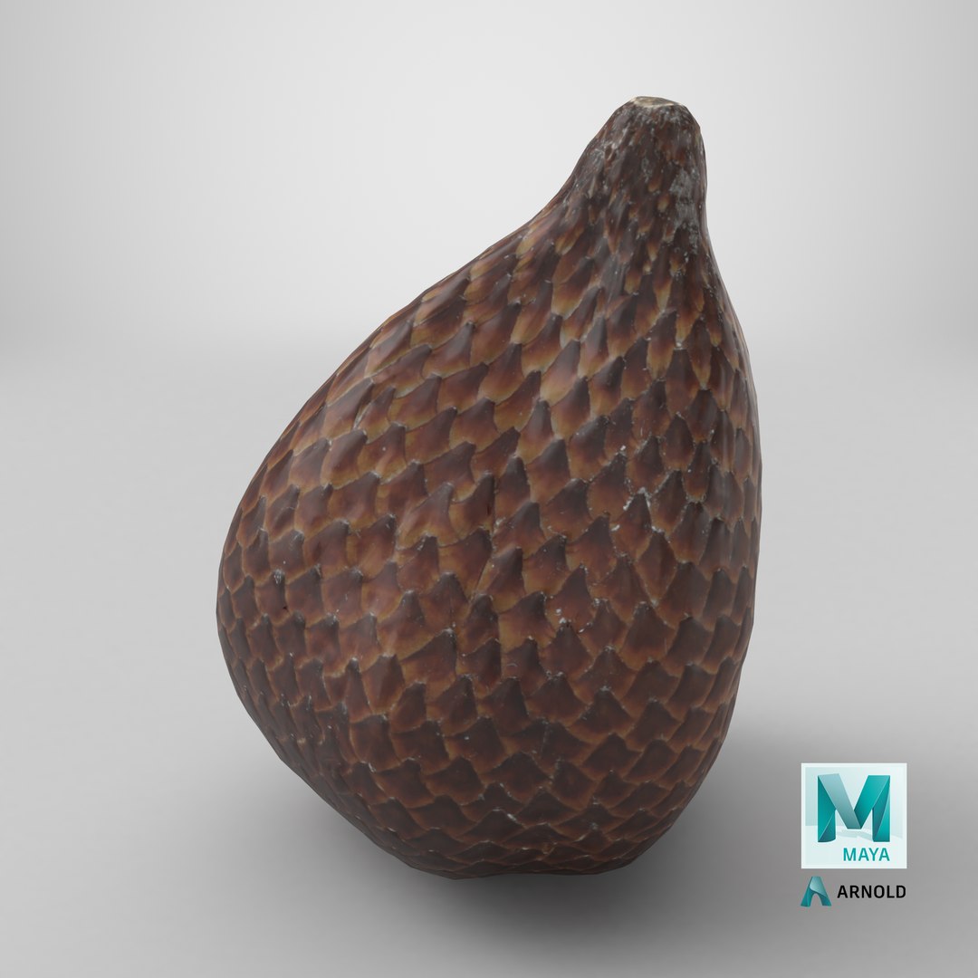 Free Salak Snake Fruit 3D - TurboSquid 2339132