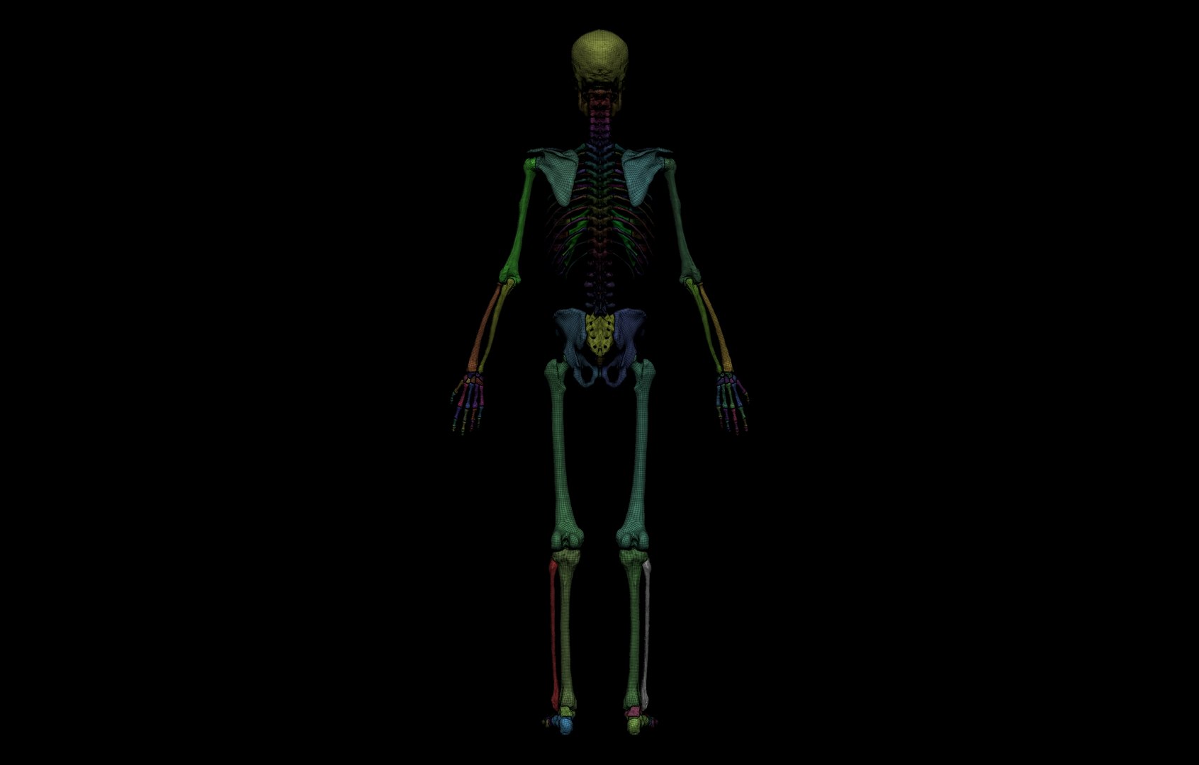 3D Realistic Male Basemesh Collection model - TurboSquid 1729052