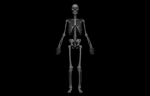 3D Realistic Male Basemesh Collection model - TurboSquid 1729052