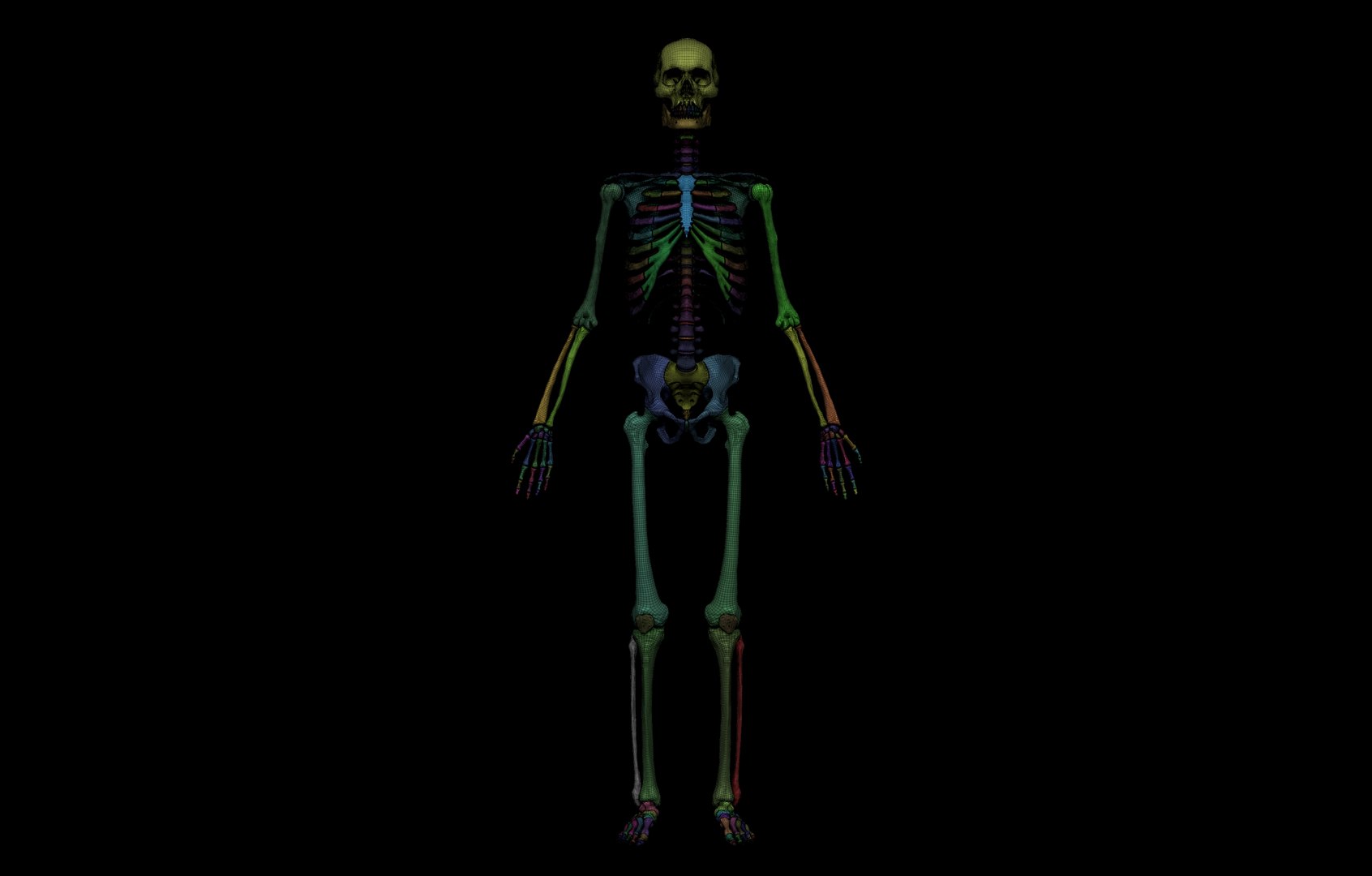 3D Realistic Male Basemesh Collection model - TurboSquid 1729052